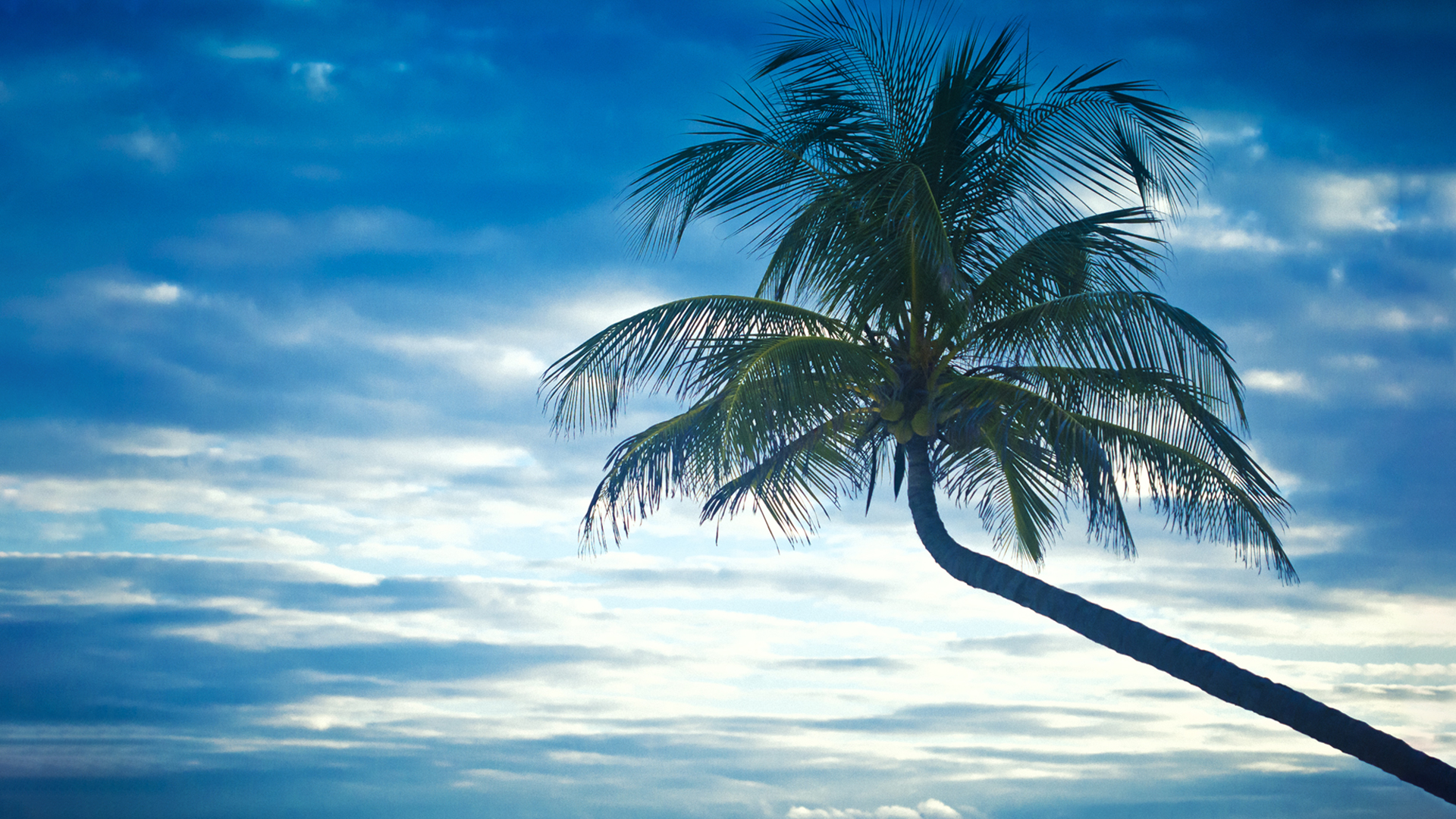 Utility Working Conference and Vendor Technology Expo (UWC 2023) -- ANS ...