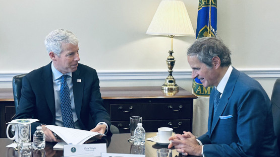 IAEA Director General meets with key nuclear leaders in D.C. -- ANS ...