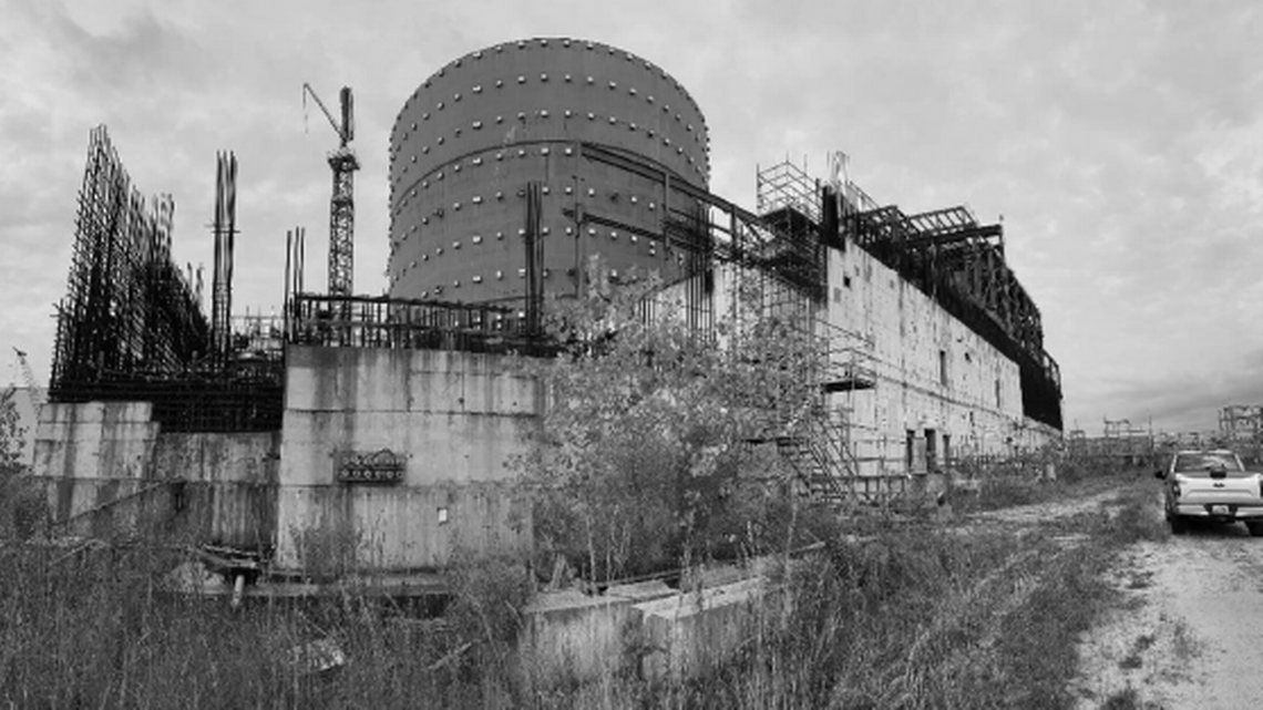 Nuclear Newswire -- ANS