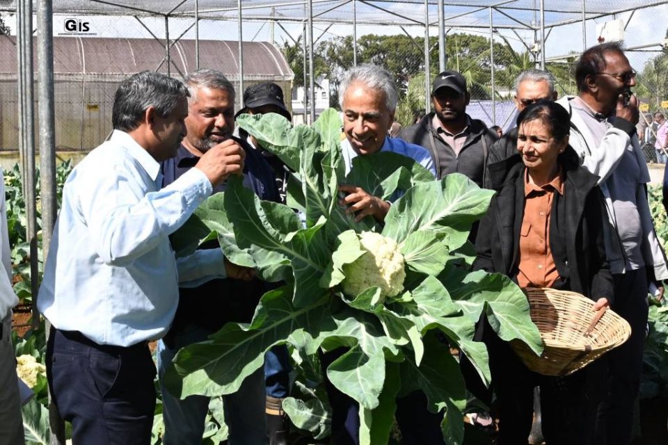 China’s new Linglong One reactor just one piece of nuclear expansion ...