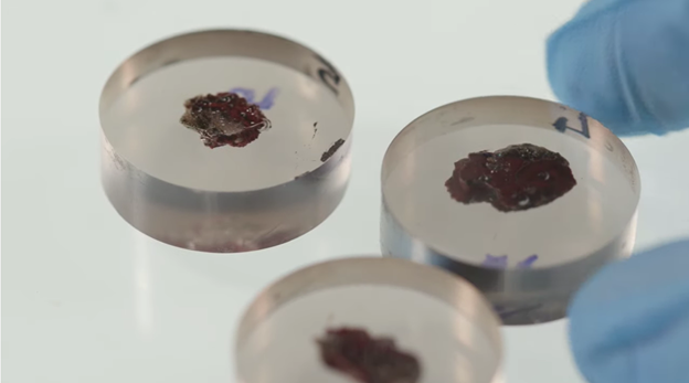 Nuclear News -- ANS / Nuclear Newswire