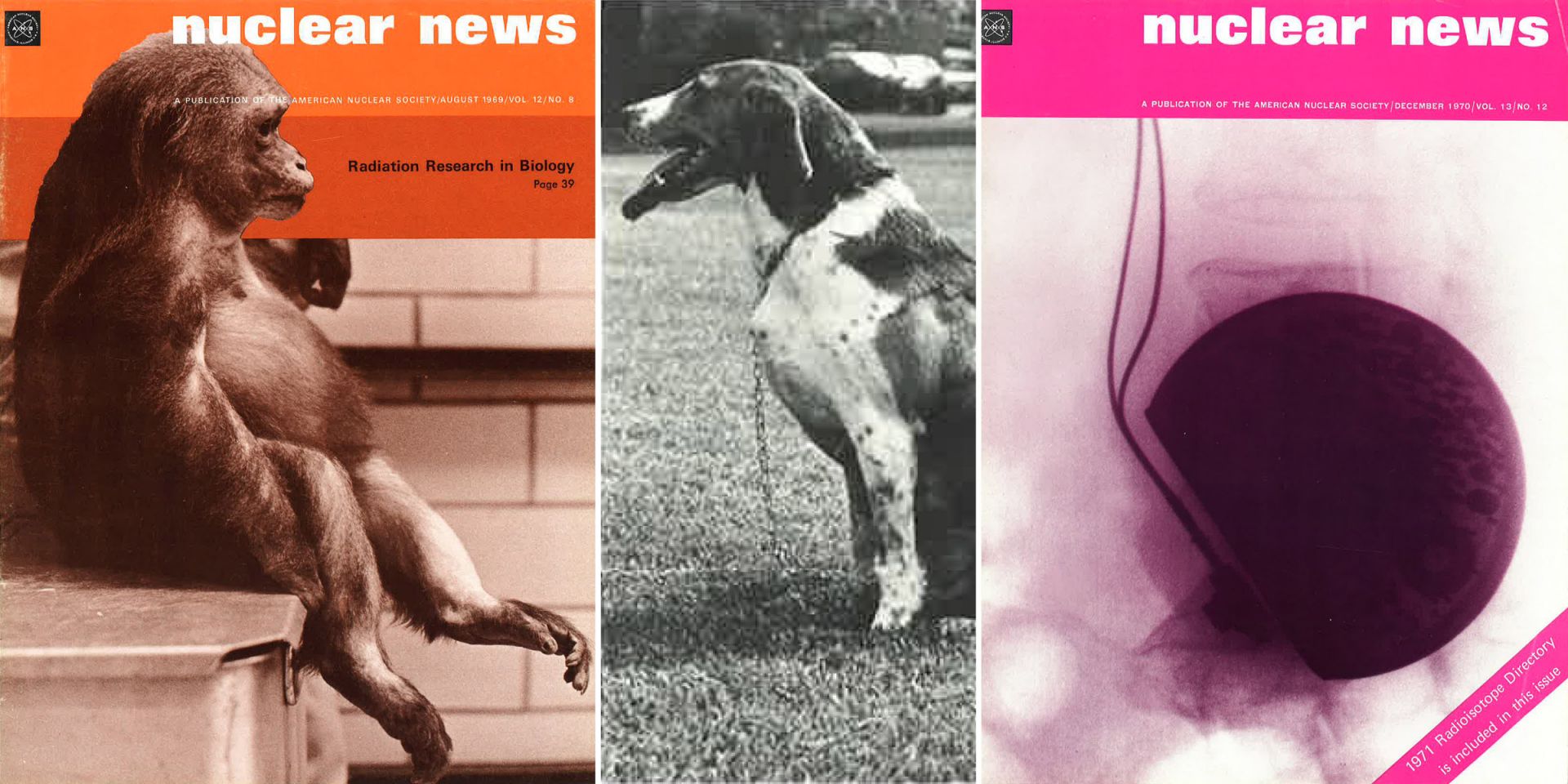 The case of the Pu-powered pacemaker -- ANS / Nuclear Newswire