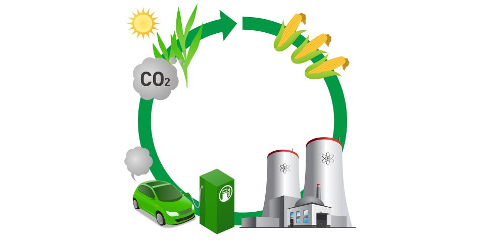 Nuclear energy: enabling production of food, fiber, hydrocarbon ...